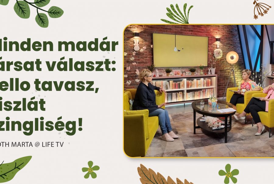 Lineo International Consulting Kft. - Tanulj a legjobbaktól! | Lineo ...